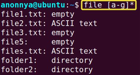 The File Command In Linux Practical Examples LinuxSimply