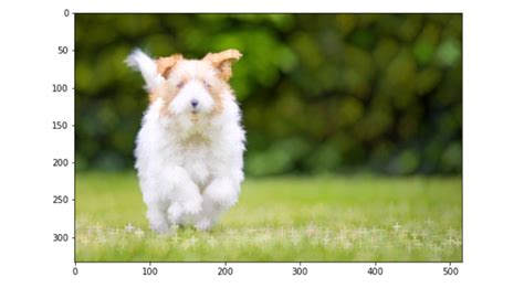 Advance Image Processing Using OpenCV Nomidl
