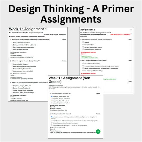 Design Thinking A Primer Assignments Notes Le Lo