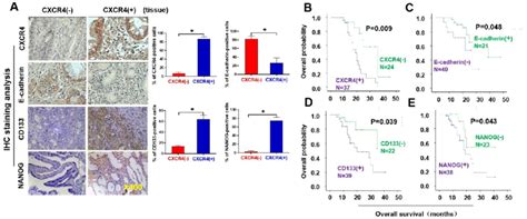 Pathological And Clinical Prognostic Analyses Of Cxcr4 Emt And Download Scientific Diagram