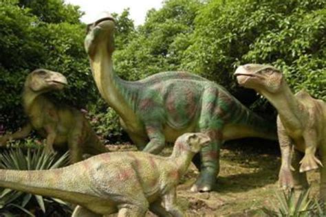 白垩纪恐龙有哪些 百度经验