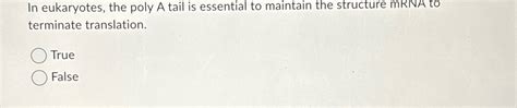 Solved In Eukaryotes The Poly A Tail Is Essential To