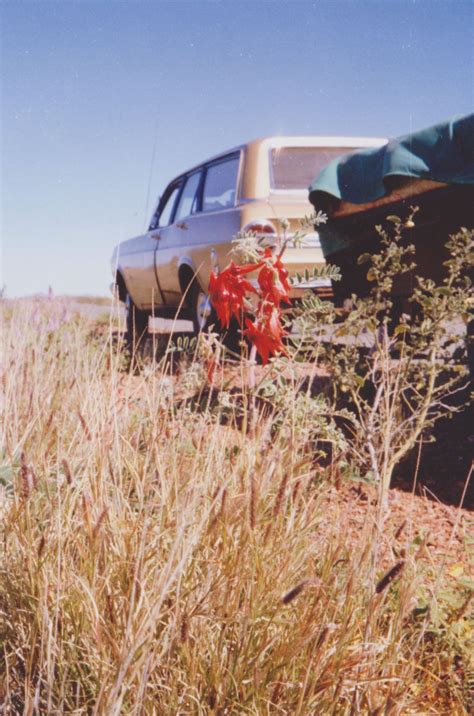 Early Life Kamille Roach