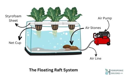 Dwc Vs Rdwc Hydroponics Explained Hydroponic Horizons