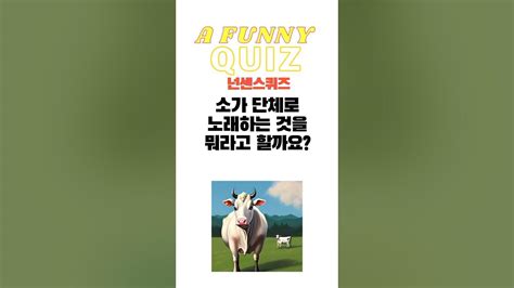 넌센스퀴즈 소가 단체로 노래하는 것을 뭐라고 할까요 Youtube
