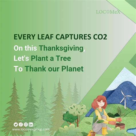 Esg Reporting Software Best Project Based Esg Scoring Tool Anil