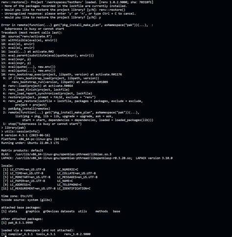 Error Initialising Subprocess Is Busy Or Cannot Start Issue Rstudio Renv GitHub