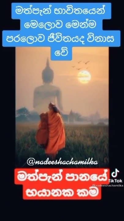 මත්පැන් පානයේ භයානක කම අති භයානකයි 😲😲 Youtube