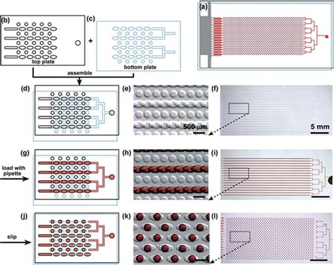 Digital Nucleic Acid Detection Based On Microfluidic Lab On A Chip Devices Intechopen