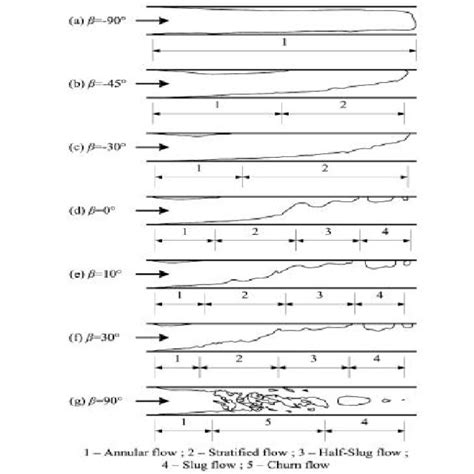 Tape Stripping Method Download Scientific Diagram