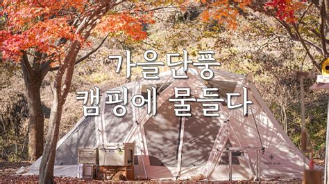 예그리나숲 가을캠핑 단풍 아래 즐겼던 참 좋았던 날 Youtube