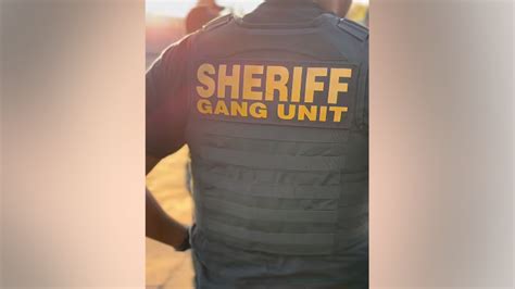 Sheriff Warns Career Criminals Exploit Mental Health Diversion Law