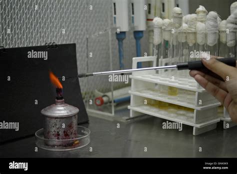 Lab Research Procedure Stock Photo Alamy