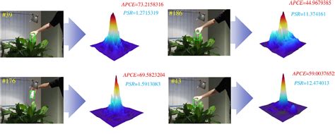 Figure 1 From An Adaptive Spatiotemporal Correlation Filtering Visual