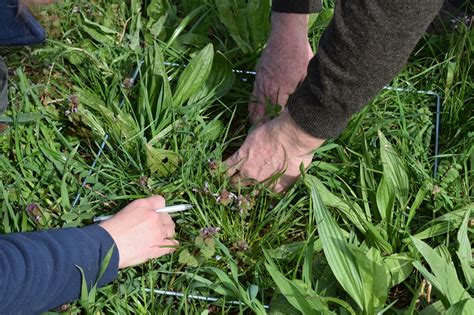 Testing Your Soil Soil Association