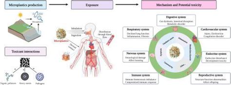 微塑料对人体健康的潜在毒性 Science Of The Total Environment X Mol