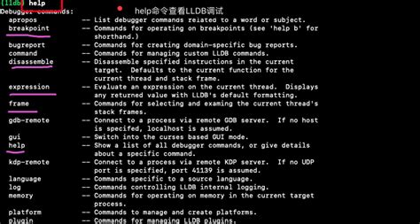 Lldb调试详解 逆向开发 国孩 博客园
