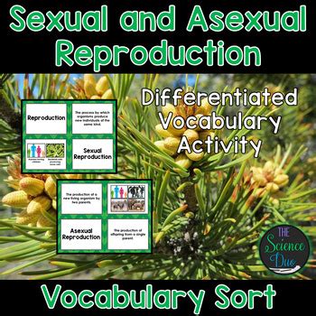 Sexual And Asexual Reproduction Vocabulary Sort By The Science Duo