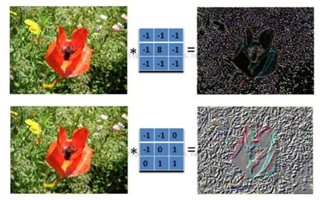 【深度学习】一文搞懂卷积神经网络（cnn）的原理（超详细）卷积神经网络原理 Csdn博客