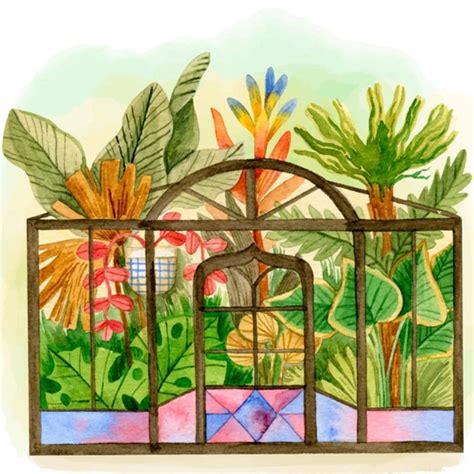 Straight Line In The Cartesian Plane Equations Of The Line • Stem Online