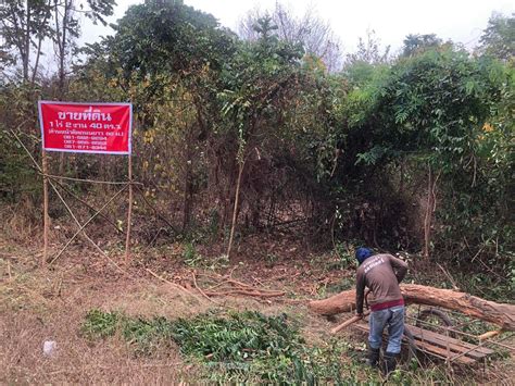 ขายที่ด่วน พื้นที่ 1 ไร่ 2 งาน 40 ตร ว 5 000 บ ตร ว เจ้าของขายเอง จังหวัดกาฬสินธ์ุ ตำบล