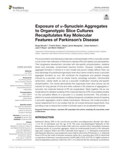 Pdf Exposure Of α Synuclein Aggregates To Organotypic Slice Cultures