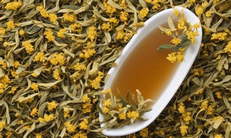 Osmanthus Tea18 Benefits Side Effects And How To Make It