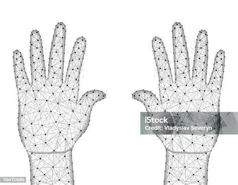 손바닥 낮은 폴리 디자인 다각형 스타일의 제스처 흰색 배경의 점과 선으로 만든 신체 부위 와이어 프레임 벡터 일러스트레이션 로우