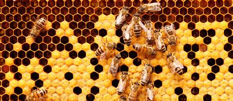 Linkedin Best Practices For Recruiters