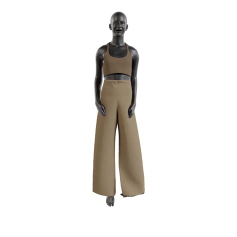 Dress To Single Image To Simulation Ready D Outfit With Diffusion Prior And Differentiable