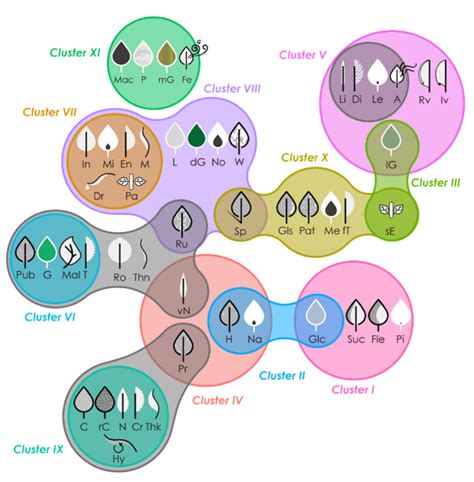 Leaf Morphological Traits As Adaptions To Multiple Climate Gradients Lemontree