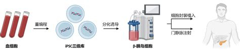 杭州星赛瑞真生物技术有限公司 产品管线