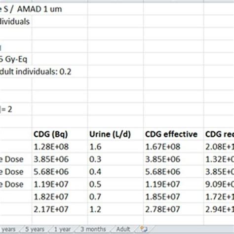 Report Created By The System With Parameters Used In The Cdg