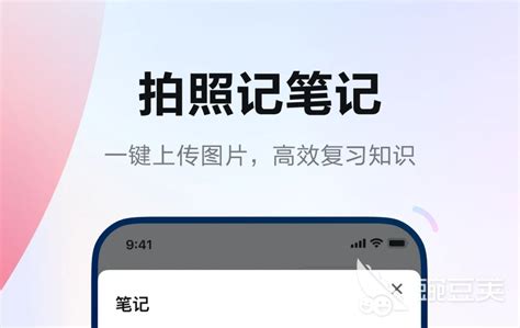 英汉互译翻译软件 皮学网