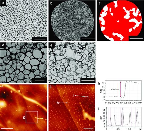 29 Structure Of Igneous Rocks Geolearn