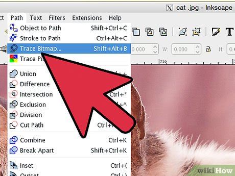 How To Convert Raster To Vector With Pictures WikiHow