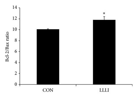 Western Blot Analysis And Densitometry Ratios Of Bax Bcl 2 And Igf 1