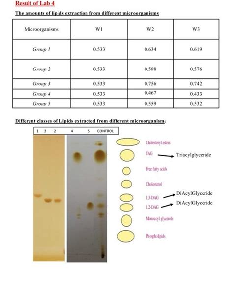 Solved I Need A Page Of Discussion For A Lab Report