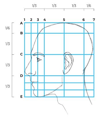 How To Draw Side Profile Of Face