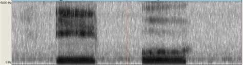 Spectrogram Practice Youre Welcome Flashcards Quizlet