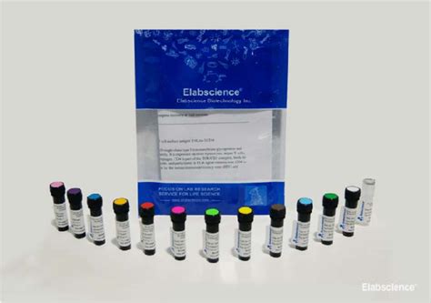 Cd14 93 Search Results Page Elabscience®