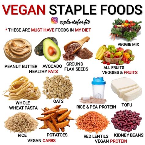 Health Advice Vegan Recipes On Instagram My Vegan Diet Staples🥦🍓