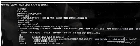 ubuntu开机黑屏，或者 开机卡在loading initial ramdisk界面无法进入的解决方案 运维 dora ovo