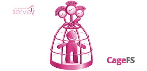 CageFS Kurulumu ve Kaldırılması Kiralık Sunucu Sunucu Kiralama VPS VDS Hosting