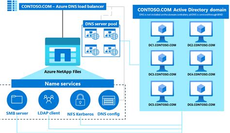 understand domain name systems in azure netapp files microsoft learn