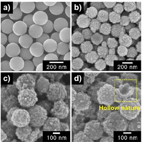 FE SEM Images Of A SiO B STCS C B STCS And D B HST Materials Download Scientific