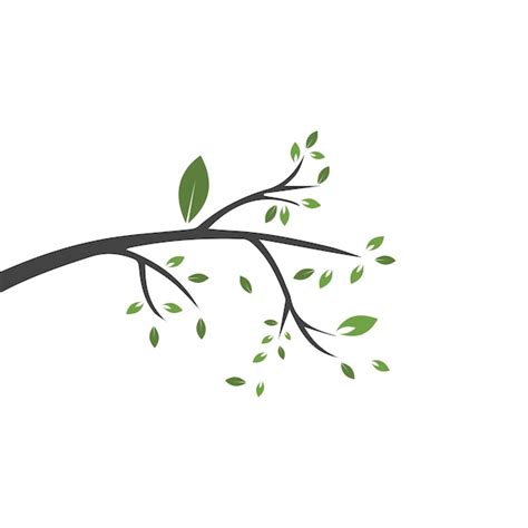 Premium Vector Vector Branch Hand Drawn Illustration Of Tree Branch