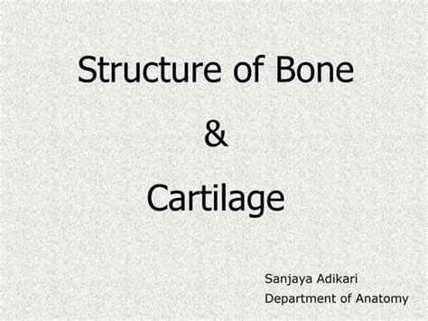 Cartilage And Bone Dr Jamal Alvi 1 Pptx