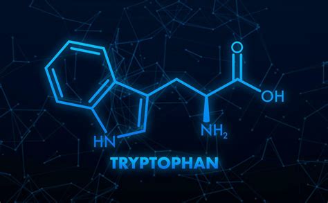 Triptófano Fórmula Triptófano O L Triptófano Viaje W Aminado ácido