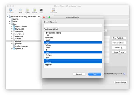 Adding And Modifying Mongodb Indexes With Mongochef Thomas Zahn